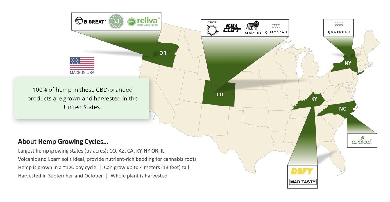 Curious About CBD - Spec's Wines, Spirits & Finer Foods